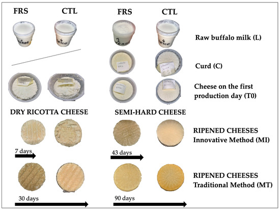 Role of Feeding and Novel Ripening System to Enhance the Quality and ...