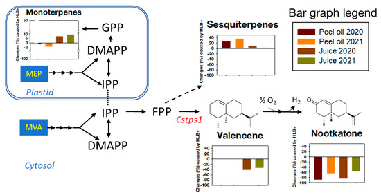 Effect of Huanglongbing on the Volatile Organic Compound Profile of ...