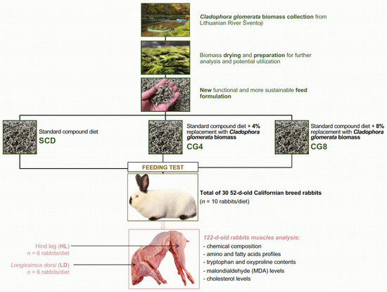 Enhancement of Rabbit Meat Functionality by Replacing Traditional Feed ...