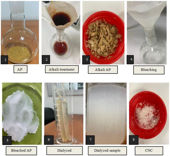 Extraction Optimization and Characterization of Cellulose Nanocrystals ...