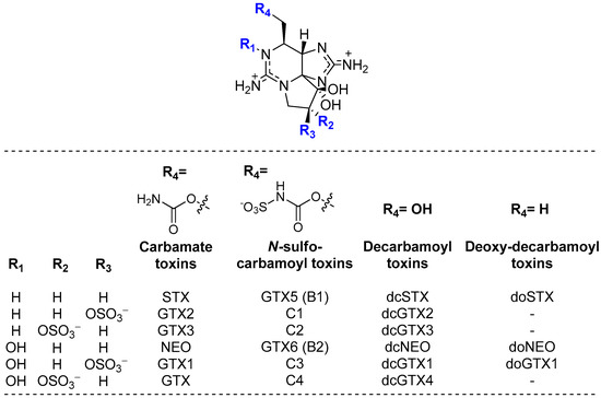 Cation-Exchange Resin Applied to Paralytic Shellfish Toxins Depuration ...