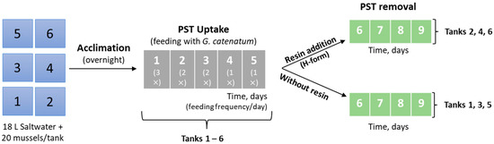 Cation-Exchange Resin Applied to Paralytic Shellfish Toxins Depuration ...