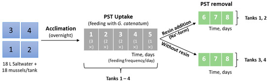 Cation-Exchange Resin Applied to Paralytic Shellfish Toxins Depuration ...