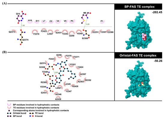 Proteomics and Molecular Docking Analyses Reveal the Bio-Chemical and ...