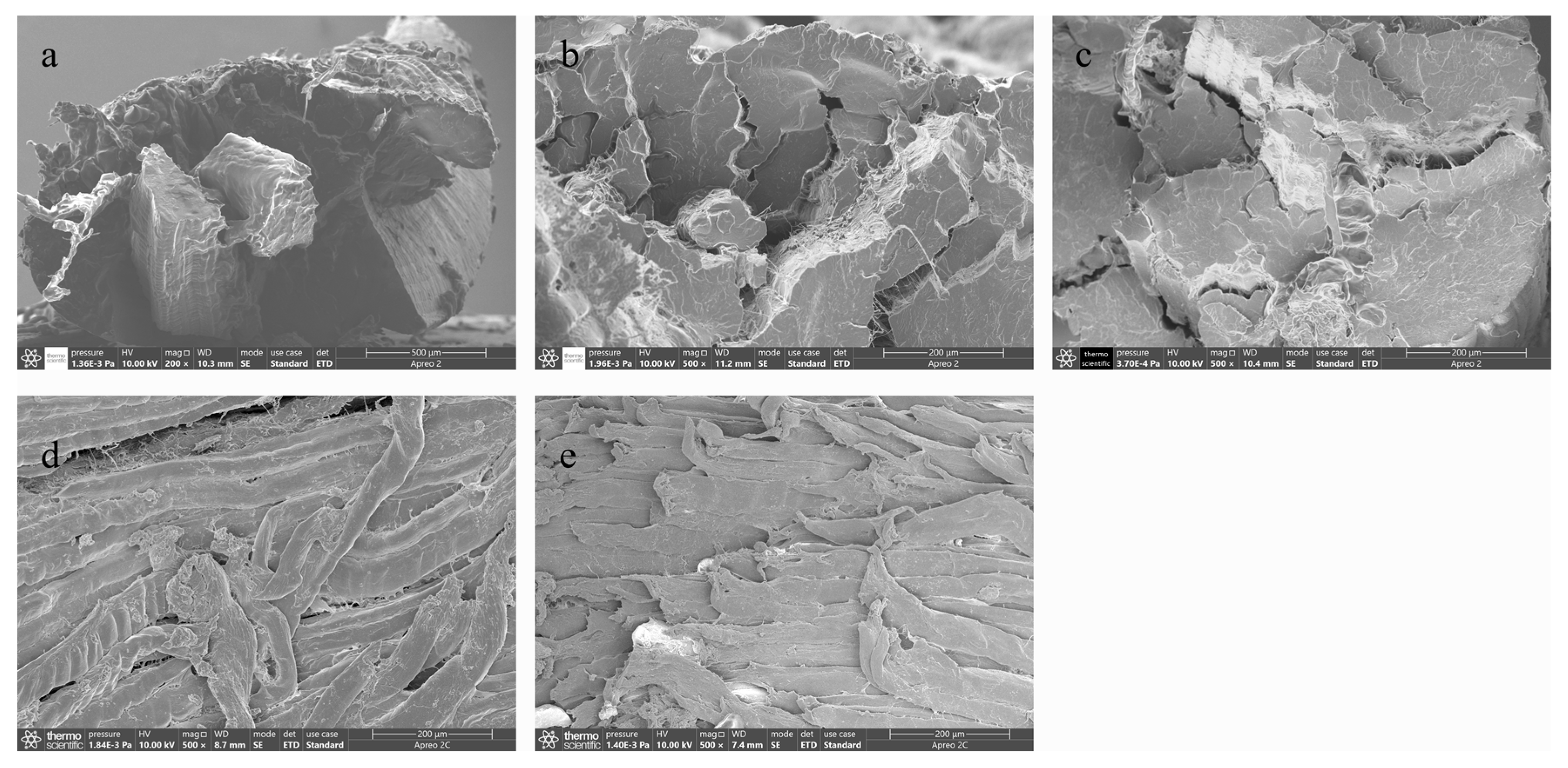 Effects of Different Low-Temperature Storage Methods on the Quality and ...