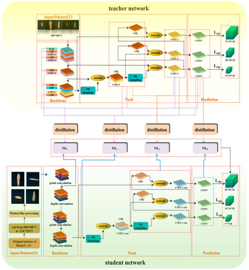 Surface Defect Detection System for Carrot Combine Harvest Based on Multi-Stage Knowledge ...