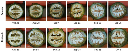 Proteomic Analysis of Pecan (Carya illinoinensis) Nut Development