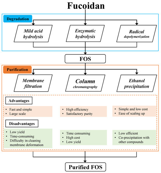 Fucoidan-Derived Functional Oligosaccharides: Recent Developments ...