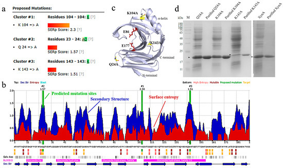 Foods | Free Full-Text | Three Molecular Modification Strategies to ...