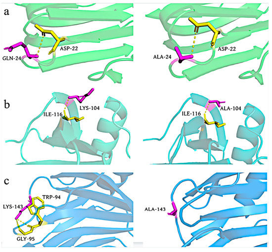 Foods | Free Full-Text | Three Molecular Modification Strategies to ...