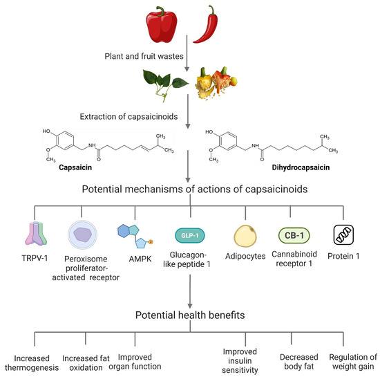 Capsicum Waste as a Sustainable Source of Capsaicinoids for Metabolic ...