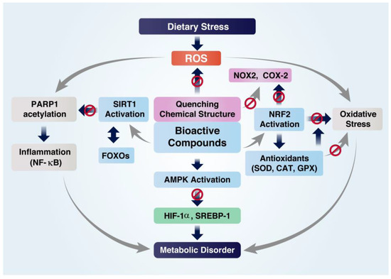 Bioactive Compounds as Inhibitors of Inflammation, Oxidative Stress and ...