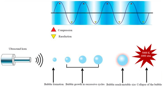 Foods | Free Full-Text | Insights into Ultrasonication Treatment on the ...