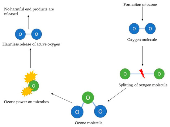 The Use of Ozone Technology: An Eco–Friendly Method for the ...
