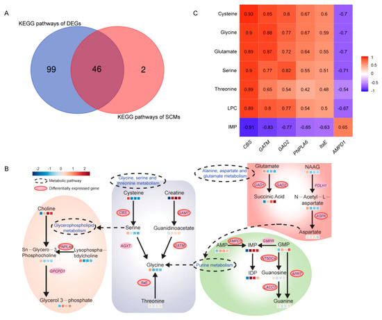Identification of Key Genes Affecting Flavor Formation in Beijing-You ...