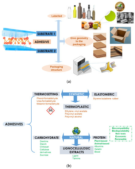 Sustainable and Bio-Based Food Packaging: A Review on Past and Current ...