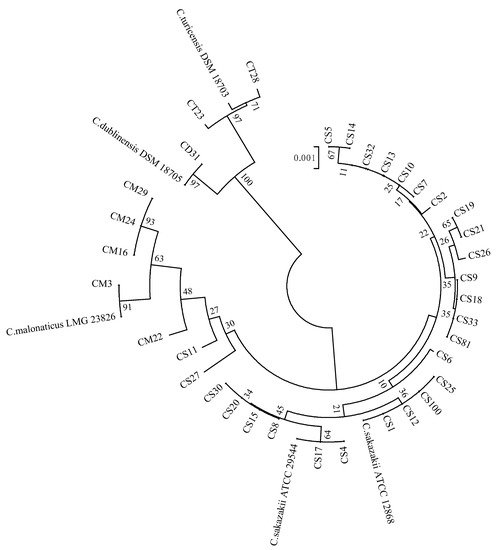 Identification, Typing and Drug Resistance of Cronobacter spp. in ...