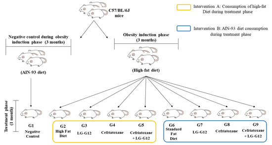 Lactobacillus gasseri LG-G12 Restores Gut Microbiota and Intestinal ...