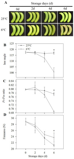 Study on Characteristics and Lignification Mechanism of Postharvest ...
