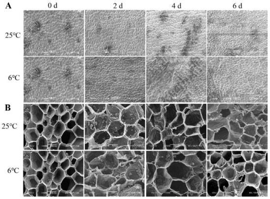 Study on Characteristics and Lignification Mechanism of Postharvest ...