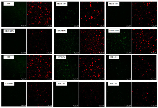 Study on the Structure, Function, and Interface Characteristics of ...