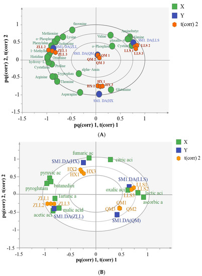 Analysis of Microbial Diversity and Metabolites in Sauerkraut Products ...