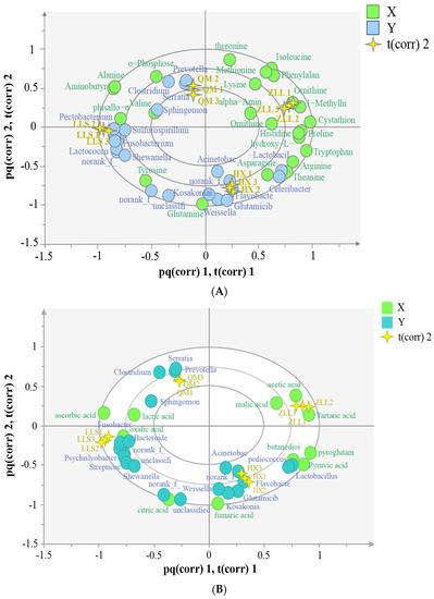 Analysis of Microbial Diversity and Metabolites in Sauerkraut Products ...
