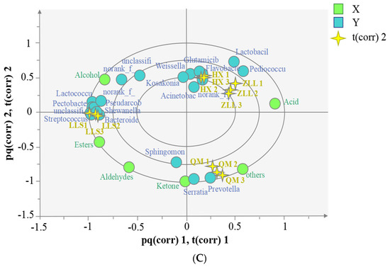 Analysis of Microbial Diversity and Metabolites in Sauerkraut Products ...