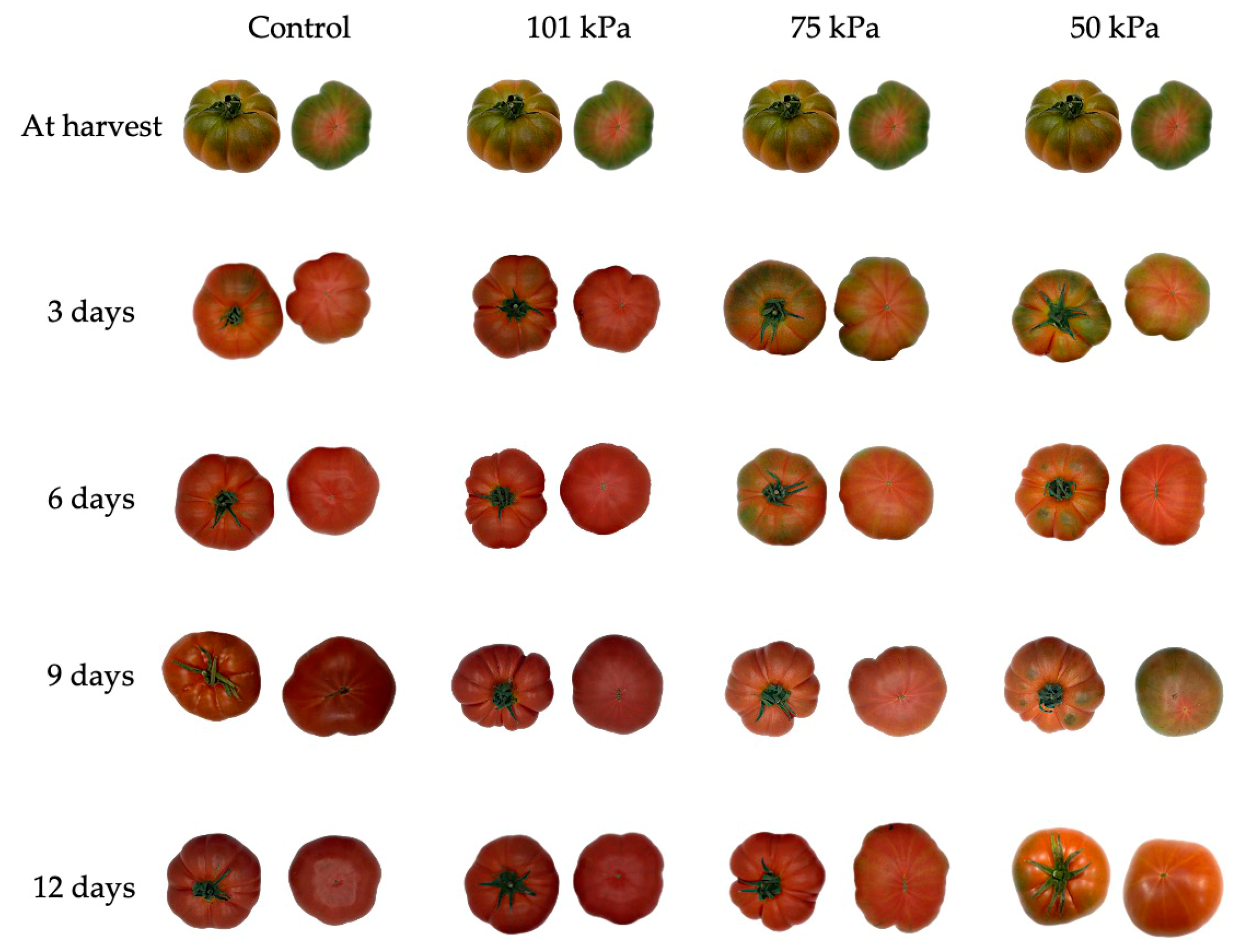 Use of Sub-Atmospheric Pressure Storage to Improve the Quality and ...