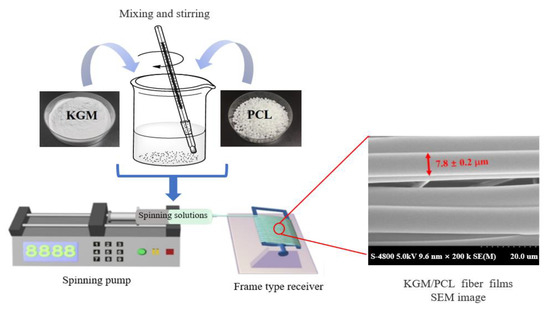 Structure, Merits, Gel Formation, Gel Preparation and Functions of ...
