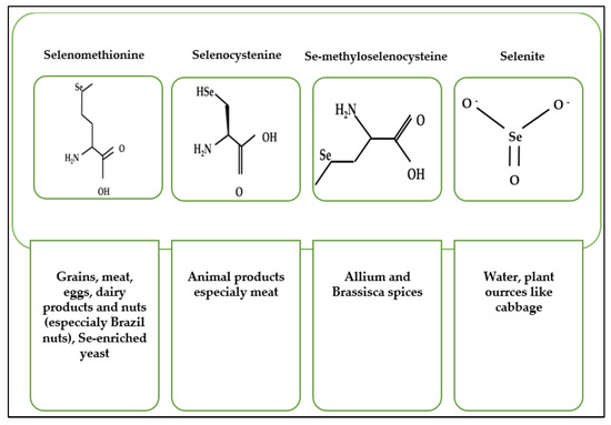 Natural Sources of Selenium as Functional Food Products for Chemoprevention