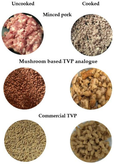 Properties of Texturized Vegetable Proteins from Edible Mushrooms by Using Single-Screw Extruder