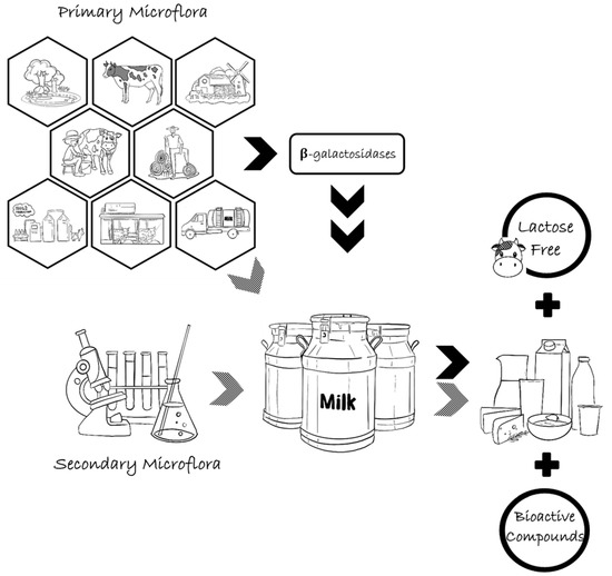 Involvement of Versatile Bacteria Belonging to the Genus Arthrobacter ...