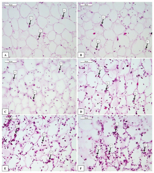 Understanding the Impact of High-Pressure Treatment on Physico-Chemical ...
