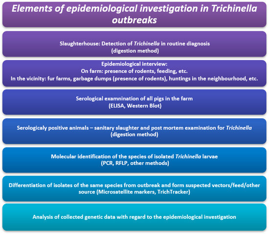 Scheme of Effective Epidemiological Investigations in Trichinella ...