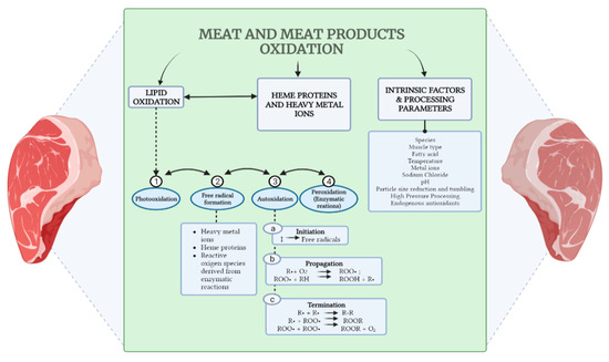 Effects of Plant-Based Antioxidants in Animal Diets and Meat Products ...