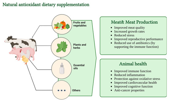 Effects of Plant-Based Antioxidants in Animal Diets and Meat Products: A Review