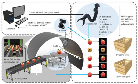 Automatic Detection of Small Sample Apple Surface Defects Using ASDINet