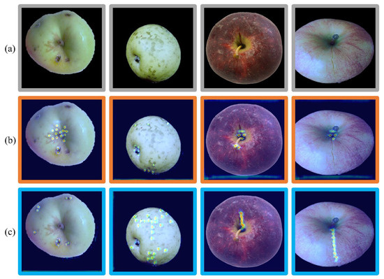Foods | Free Full-Text | Automatic Detection of Small Sample Apple Surface Defects Using ASDINet