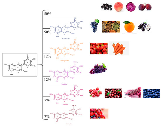 Foods | Free Full-Text | Anthocyanins: Modified New Technologies and Challenges