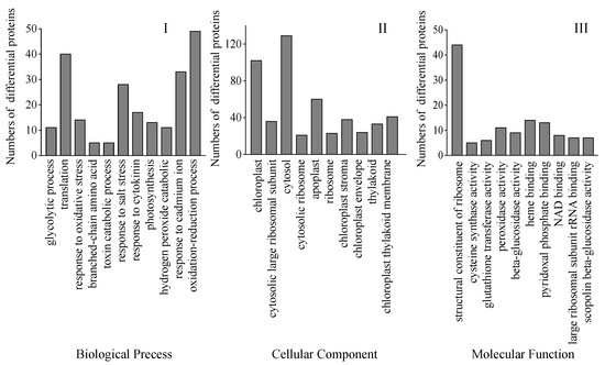 iTRAQ-Based Proteomic Analyses of Regulation of Isothiocyanate and Endogenous Selenium ...