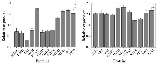 iTRAQ-Based Proteomic Analyses of Regulation of Isothiocyanate and Endogenous Selenium ...