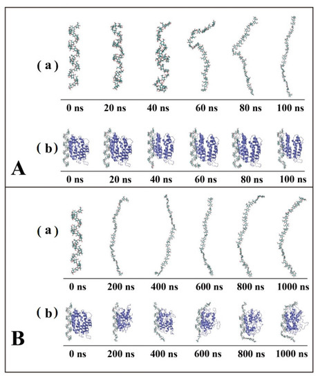The Mechanism Underlying the Amylose-Zein Complexation Process and the ...