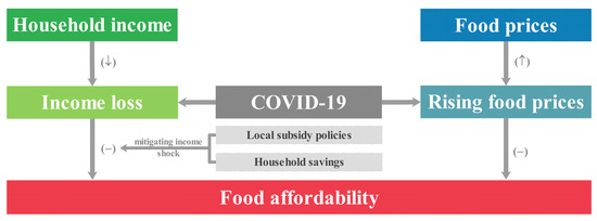 Foods | Free Full-Text | Did Household Income Loss Have an Immediate ...