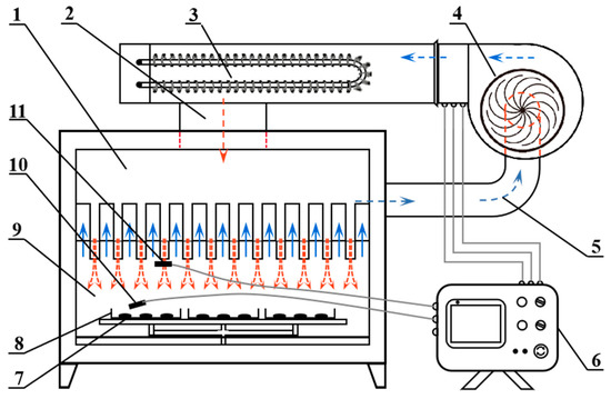 Hot Air Impingement Drying Enhanced Drying Characteristics and Quality ...