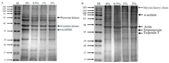 1H NMR Reveals the Mechanism of Potassium Lactate on Proteolysis and ...