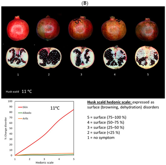 Prevention of Chilling Injury in Pomegranates Revisited: Pre- and Post ...