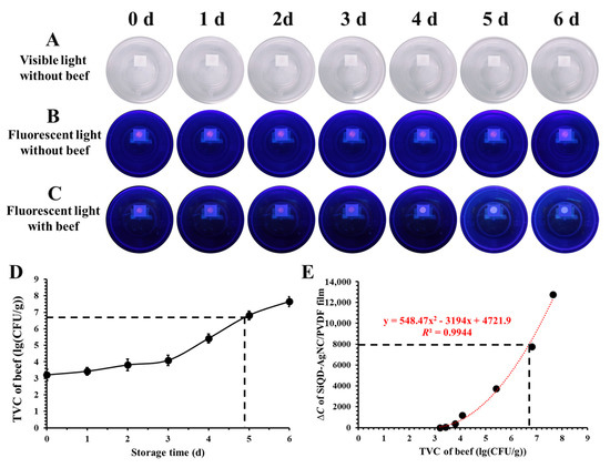 A Ratiometric Fluorescent Sensor Based on Silicon Quantum Dots and Silver Nanoclusters for Beef ...