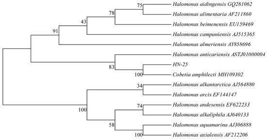 Purification and Characterization of the Enzyme Fucoidanase from ...