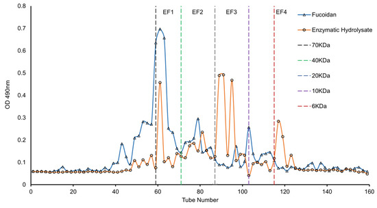 Purification and Characterization of the Enzyme Fucoidanase from ...